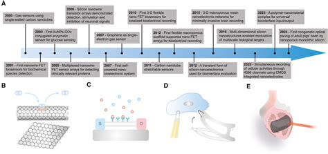 Beyond 25 Years Of Biomedical Innovation In Nano Bioelectronics Device