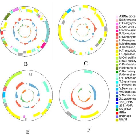Bioleaching Process Roy Srinivasan Et Al 2021 Download