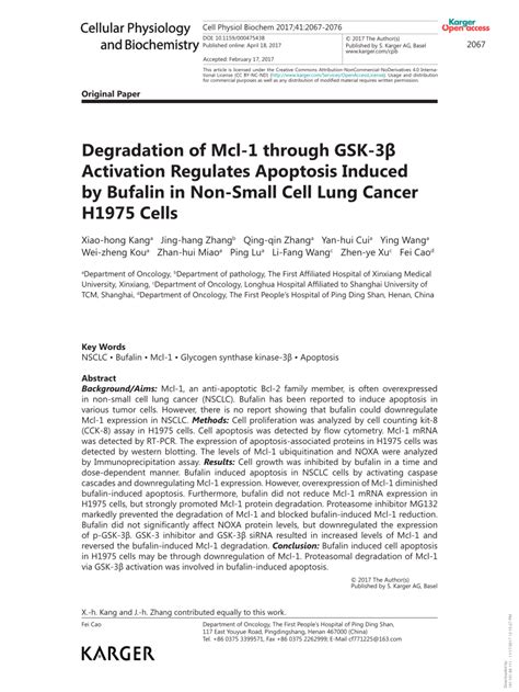 Pdf Degradation Of Mcl 1 Through Gsk 3β Activation Regulates