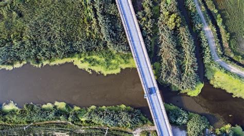 Científicos Apuesta Por Un Método Natural Como La Reforestación Para