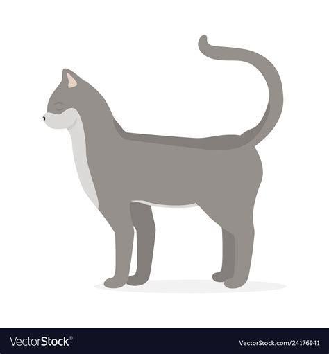 Kitty Cat Royalty Free Vector Image Vectorstock