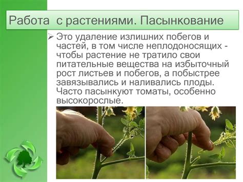 Агротехнические приемы - презентация онлайн