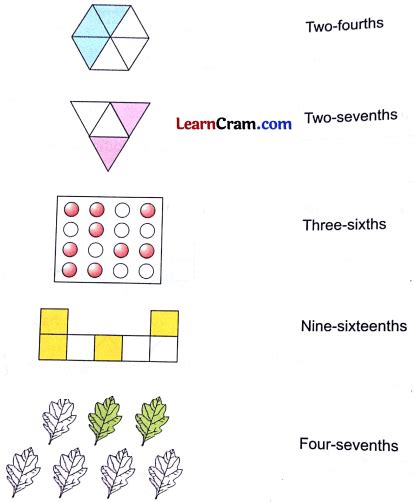 Dav Class 3 Maths Chapter 11 Worksheet 1 Solutions Learn Cram