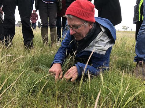 Grasslands Of The Victorian Volcanic Plains Glenelg Hopkins Cma