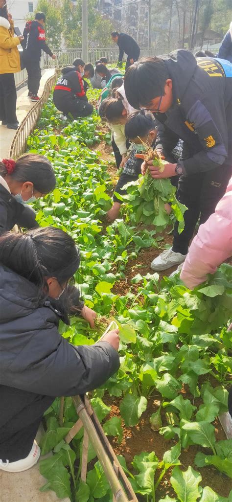 青年模范显神威 奋蹄直追话担当 知乎