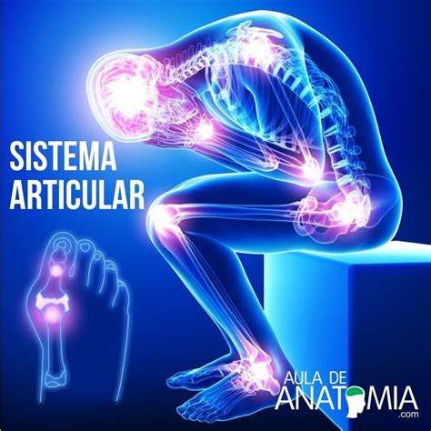 Sistema Articular Mind Map