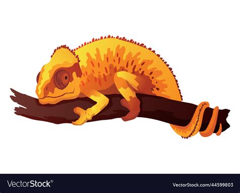 Chameleon Lizard Reptile With Curved Tail Vector Image