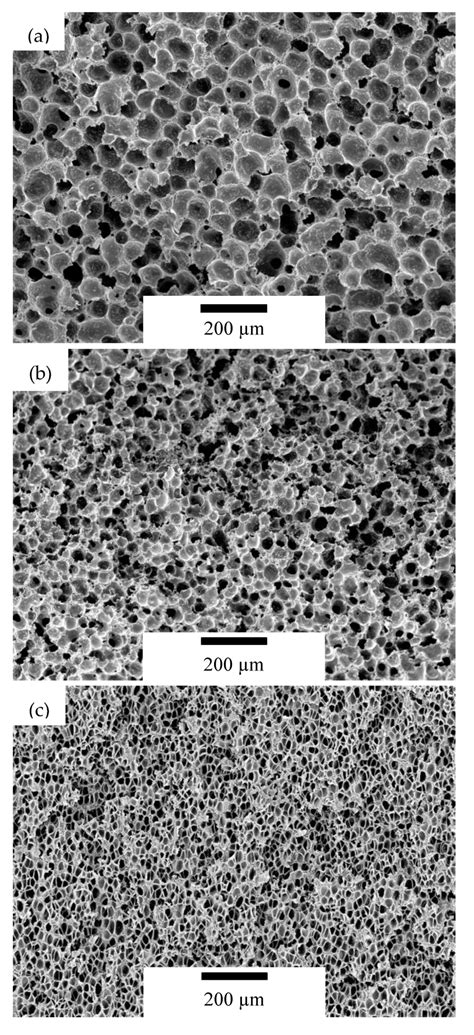 Micrographs At ×95 Magnification Showing The Cellular Structure Of