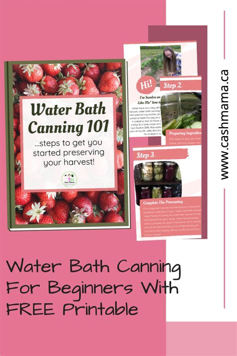 Water Bath Canning 101 For Beginners Home Canning Recipes Water Bath