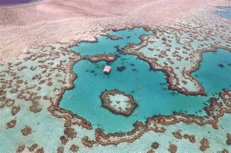 Grande Barreira De Coral Da Austrália Roteiro E Dicas Para Visitar