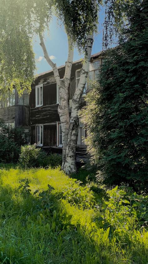 Идея для фото деревянный дом в деревне тропинка солнечные лучи на траве