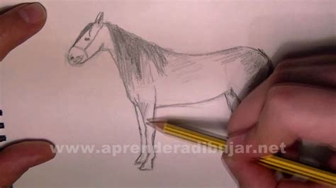 Como Dibujar Un Caballo A Lapiz Paso A Paso Dibujos De Animales Youtube