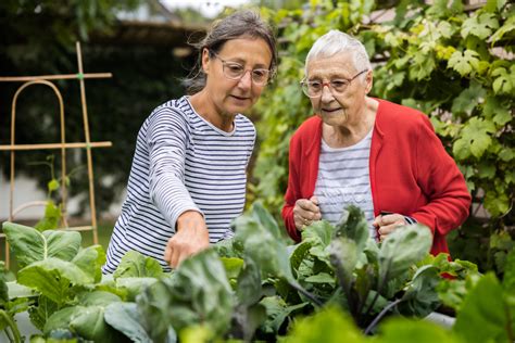 The Importance Of Social Connections Learn To Live Blog