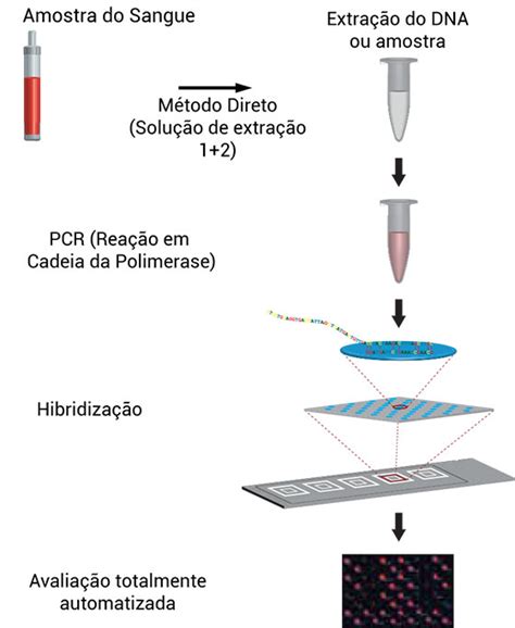 Teste De Detecção Por Biologia Molecular Euroarray Hla B27 Labnetwork