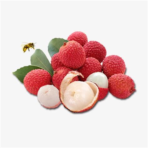 Lychee Png Twin Fruit