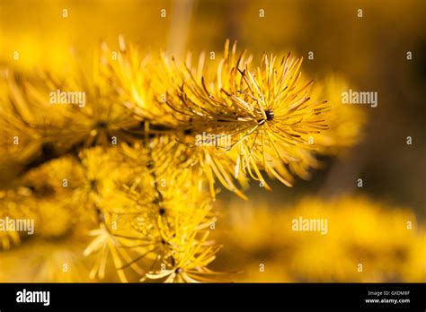 Introduce 117 Imagen Couleur Orange Signification Spirituelle Fr