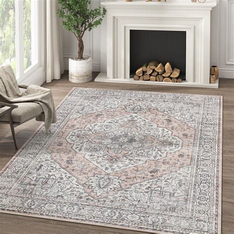 Jinchan Area Rug 4x6 Accent Rug Indoor Vintage Floor Mat Soft Printed