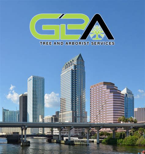 Gba Tree Services Crane Assistance And Arborist Support