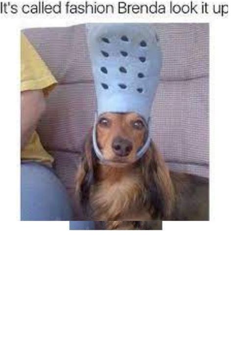 100 Hilarious Memes That Will Make You Laugh Harder Than You Should