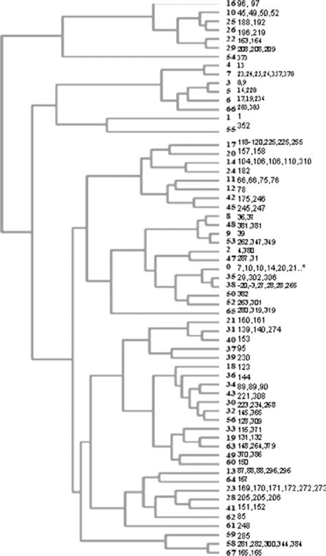 dendrogram of cluster analysis results for isolates of the
