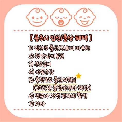 2023년 충주시 임신출산 혜택 총정리 충청북도 출산지원금 출산육아수당 네이버 블로그