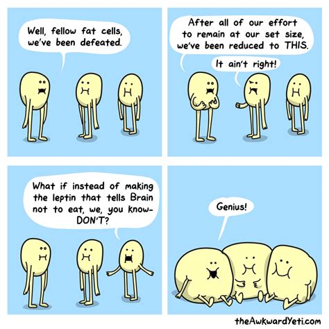 The Awkward Yeti Fat Cells Awkward Yeti Medical Humor Heart And Brain Comic