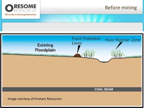 Mining Rehabilitation