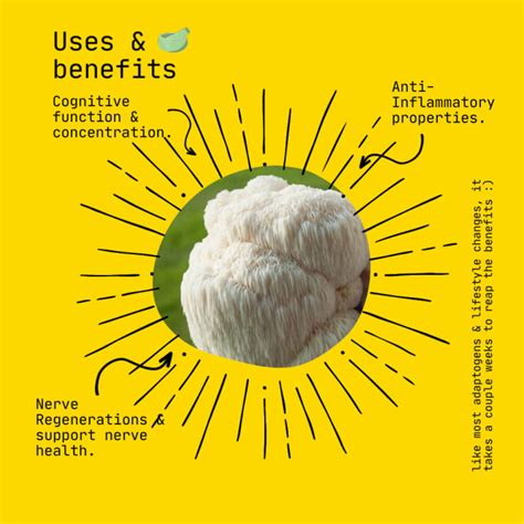 Create Social Media Content By Sarakhalid983 Fiverr