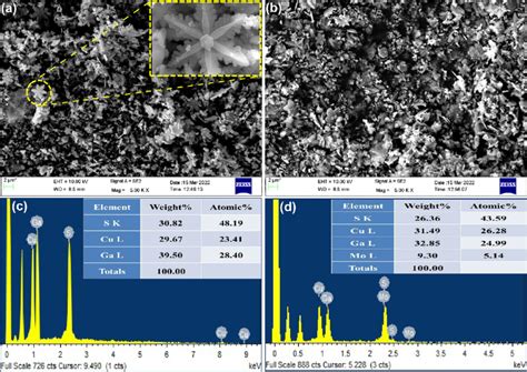 Fesem Images Ab And Edax Spectra Cd Of Cugas 2 And Cugas 2 7mos