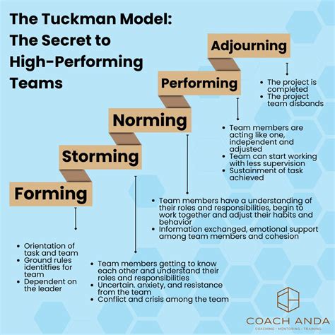 Coach Anda On Linkedin Executivecoaching Leadershipdevelopment