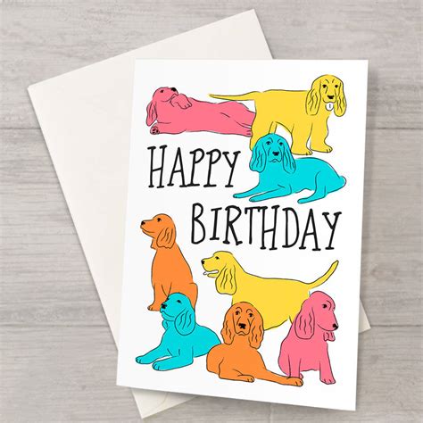 Colourful Cocker Spaniel Birthday Card By Well Bred Design