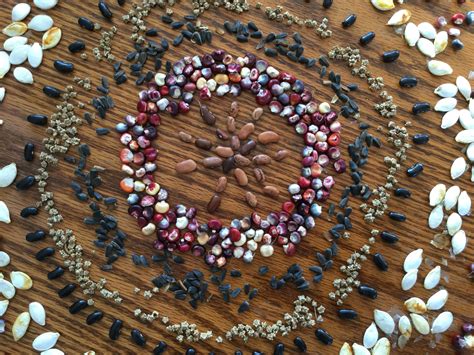 9 Seed Saving Supplies You Might Need And Where To Find Them Kaits