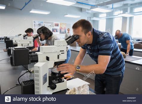 Microscope Used In Classrooms At Olivia Brewster Blog