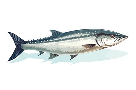 Premium Vector Mackerel Fish Vector Art Still Life Painting Flat