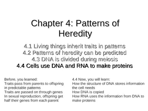 ppt chapter 4 patterns of heredity 4 1 living things inherit traits