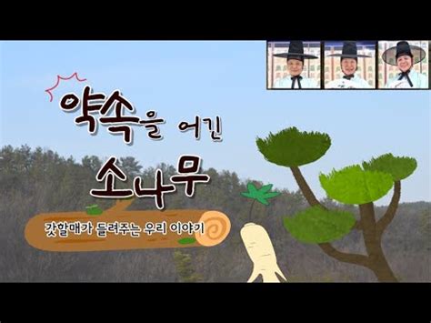 갓 할매가 들려주는 우리 이야기 20 약속을 어긴 소나무 YouTube