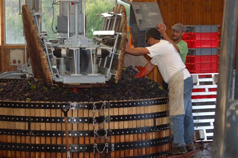 Prosecco Vs Champagne Battle Vintage Roots Organic Wine Biodynamic