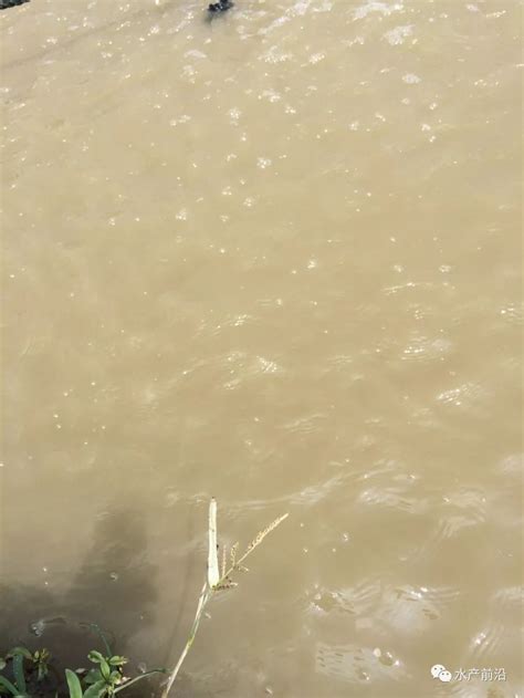 浑浊水浑浊的水浑浊大山谷图库