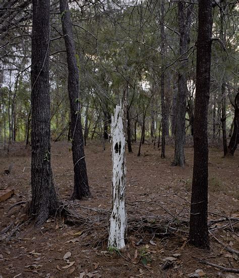 Chris Bowes Aint—bad