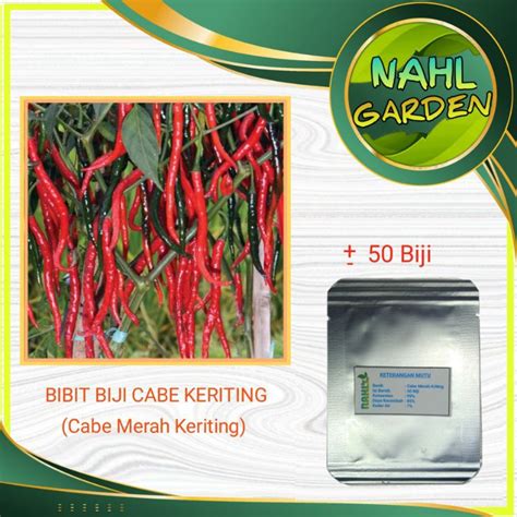 Jual BIJI BIBIT CABE KERITING Cabe Merah Keriting Shopee Indonesia