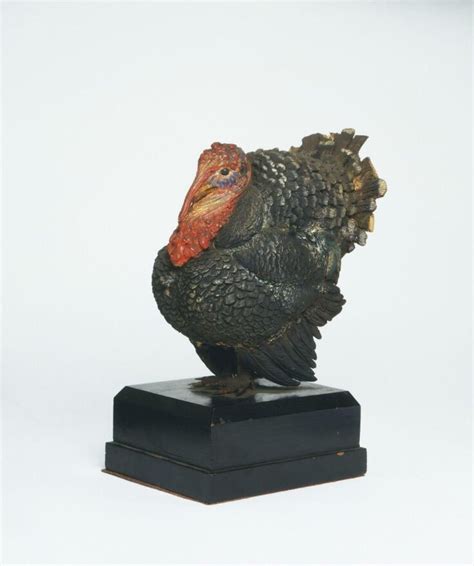 Turkey Cock Unknown Vanda Explore The Collections