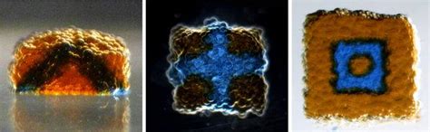 3d Printer Generates Synthetic Human Tissue Ubergizmo