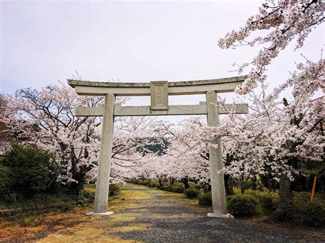 暮らしの部分に、つながっているんだな。 はたらく人の声 Amu Journal Amu Work｜海士町複業協同組合