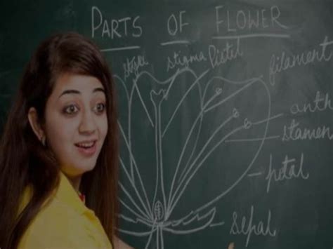CBSE Board 2023 Diagram Is Very Important In Biology To Get 100 Percent