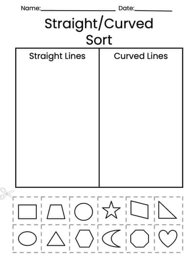 Straight And Curved Line Sorting Worksheet And Center Tpt
