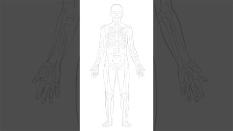인체 연습 선따기 인물스케치 Procreate 프로크리에이트 Ipad 아이패드 그림 인물 인물드로잉 인물스케치