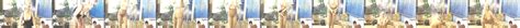 Mrs L Shorts And Pantyhose Free Pantyhose Striptease Porn Video Xhamster