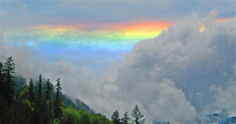 How To Remember The Order Of The Rainbow Colors Owlcation