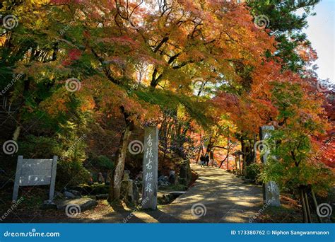 The Entrance To Kojaku Ji Temple In Autumn There Are Many Maple Trees