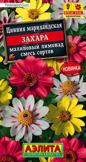 Циния Захара малиновый лимонад